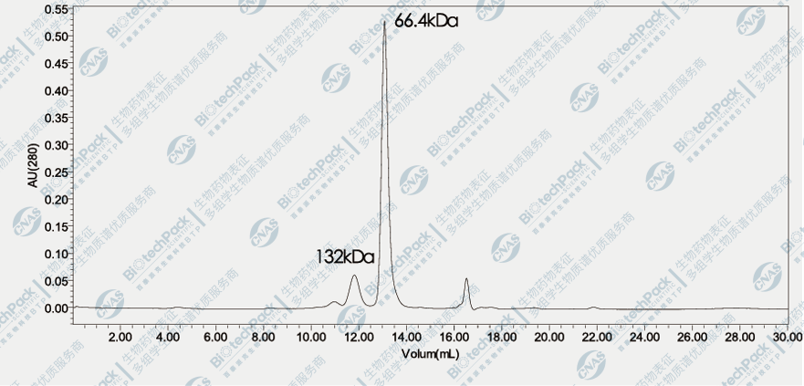 SEC-MALS分析_重组蛋白疫苗SEC-MALS分析_重组蛋白疫苗结构表征