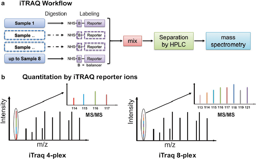 蛋白质组学 label free 和tmt, itraq