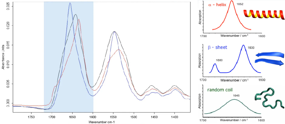 红外光谱蛋白质二级结构分析