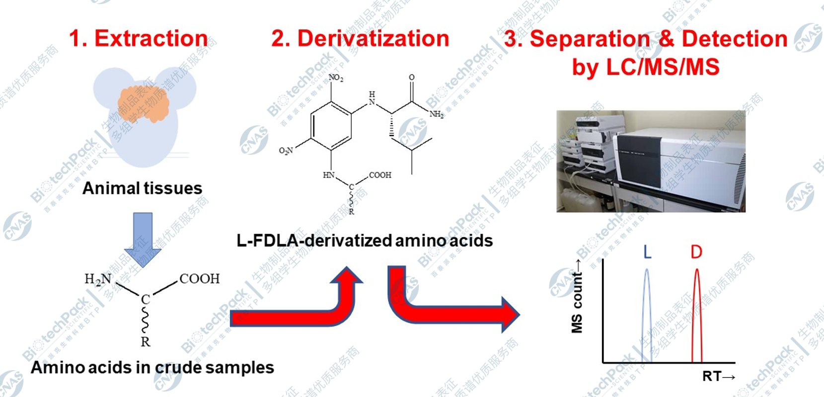 氨基酸手性分析_多肽药物氨基酸手性分析(LC-MS法)_多肽药物氨基酸手性分析质谱法