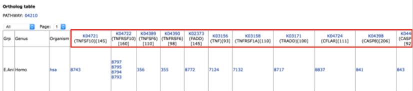 KEGG Pathway功能绘制通路图|百泰派克生物科技