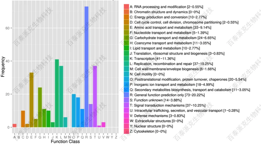 COG功能注释分析|百泰派克生物科技