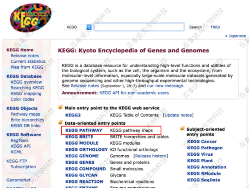 KEGG Pathway功能绘制通路图|北京百泰派克生物科技有限公司