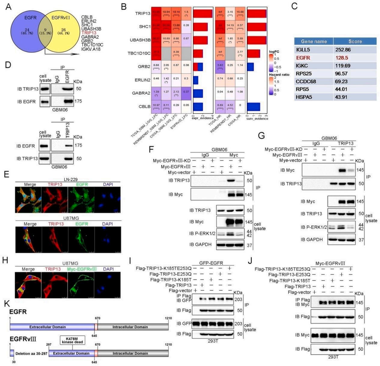 蛋白互作质谱分析客户案例|百泰派克生物科技