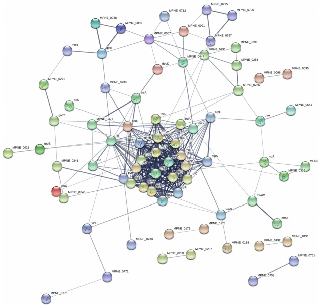 TMT标记定量蛋白组学客户案例|百泰派克生物科技